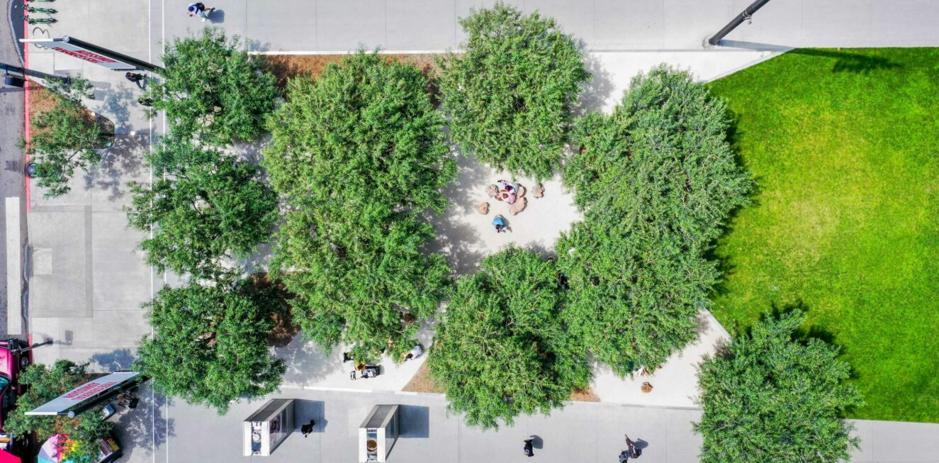 Stormwater Management Through Bioretention | Silva Cell by DeepRoot