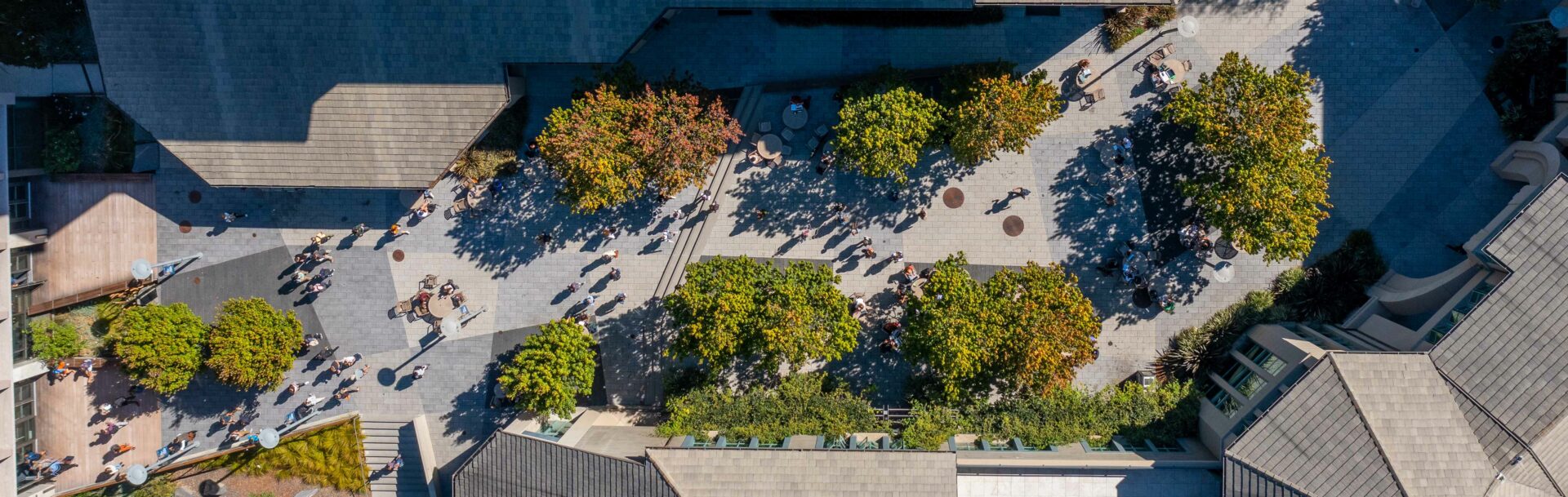 Deeproot Urban Landscape Products And Urban Design Solutions