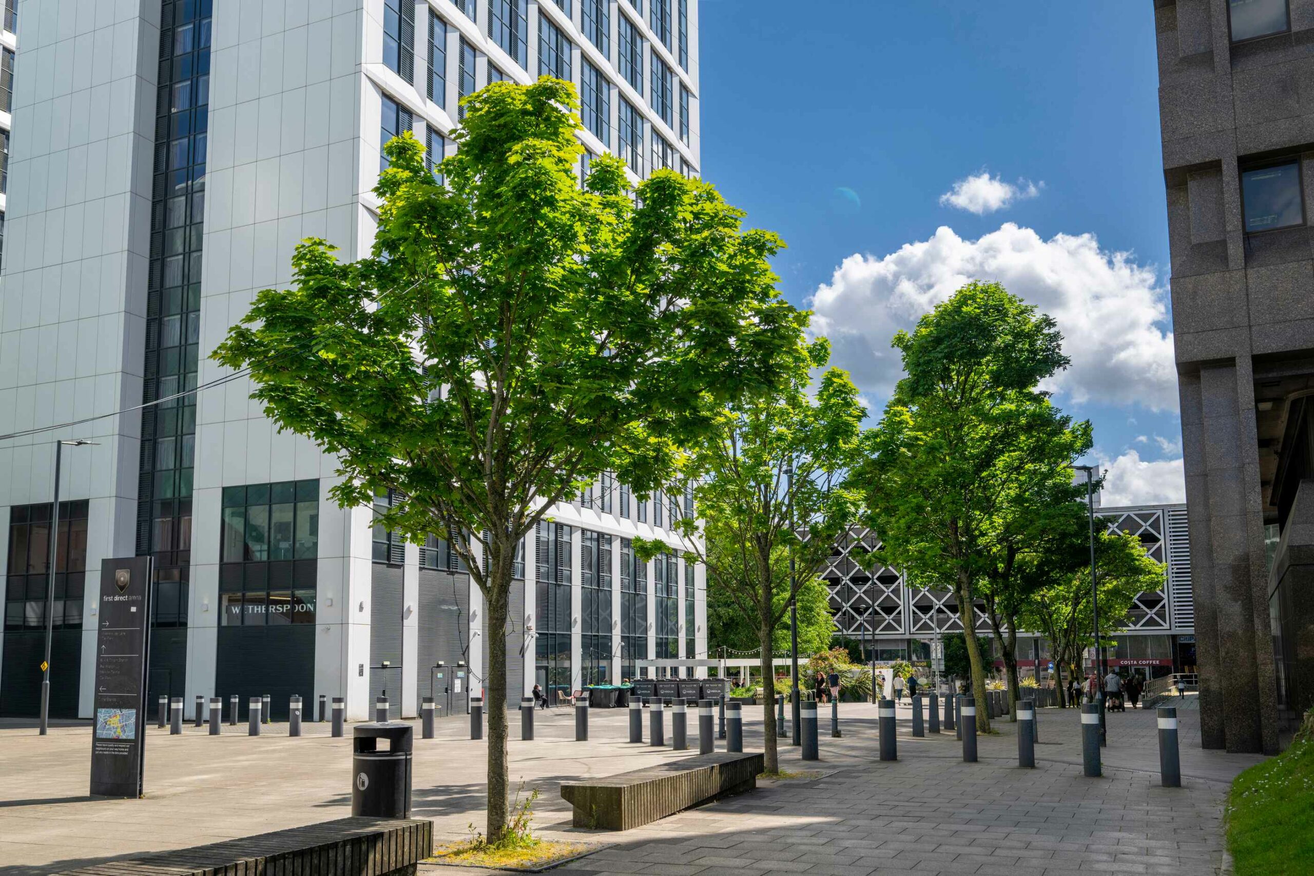 Leeds Arena Includes Tree-Lined Footpath and Piazza | Case Study | DeepRoot