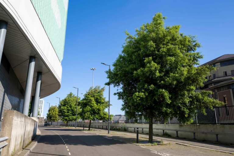 Leeds Arena Includes Tree-Lined Footpath and Piazza | Case Study | DeepRoot