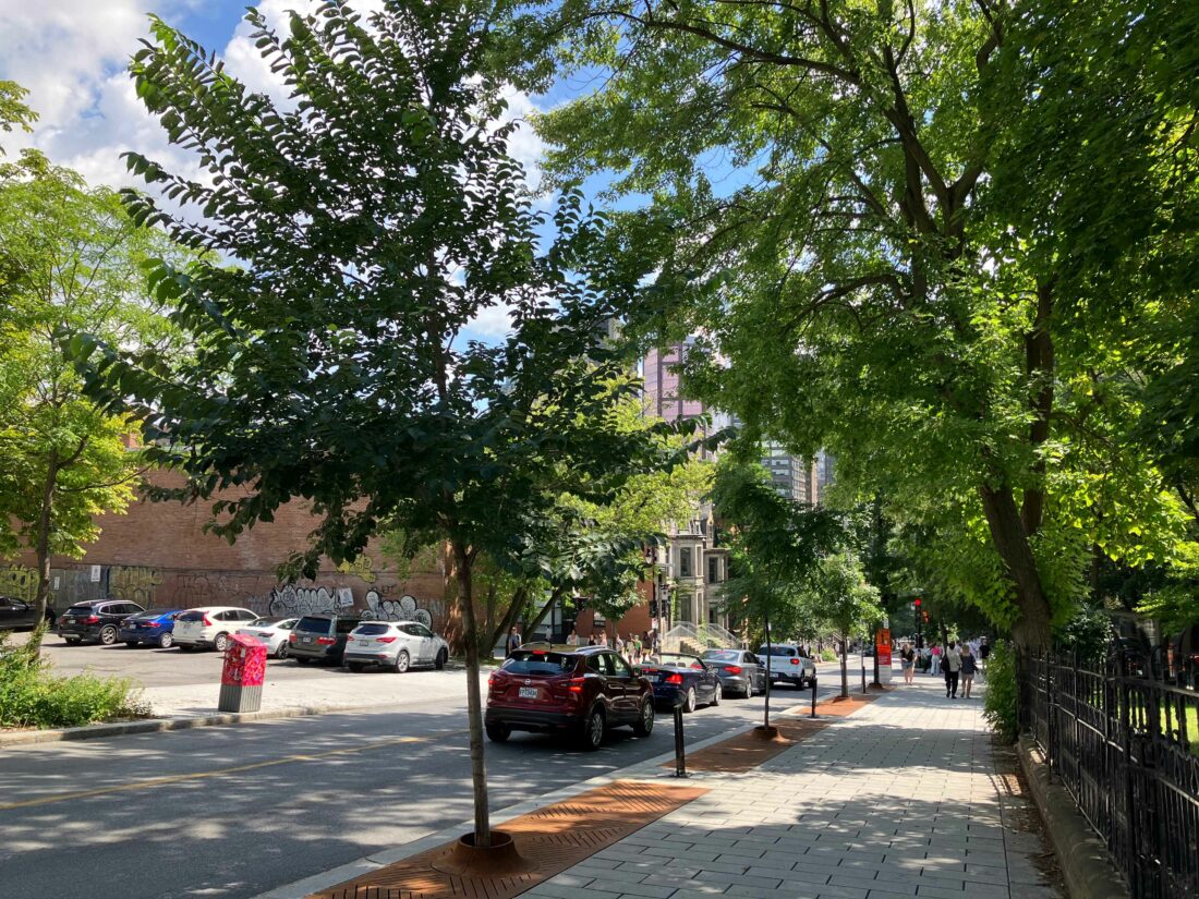 Silva Cells Overcome Significant Slope Challenges on Montreal ...