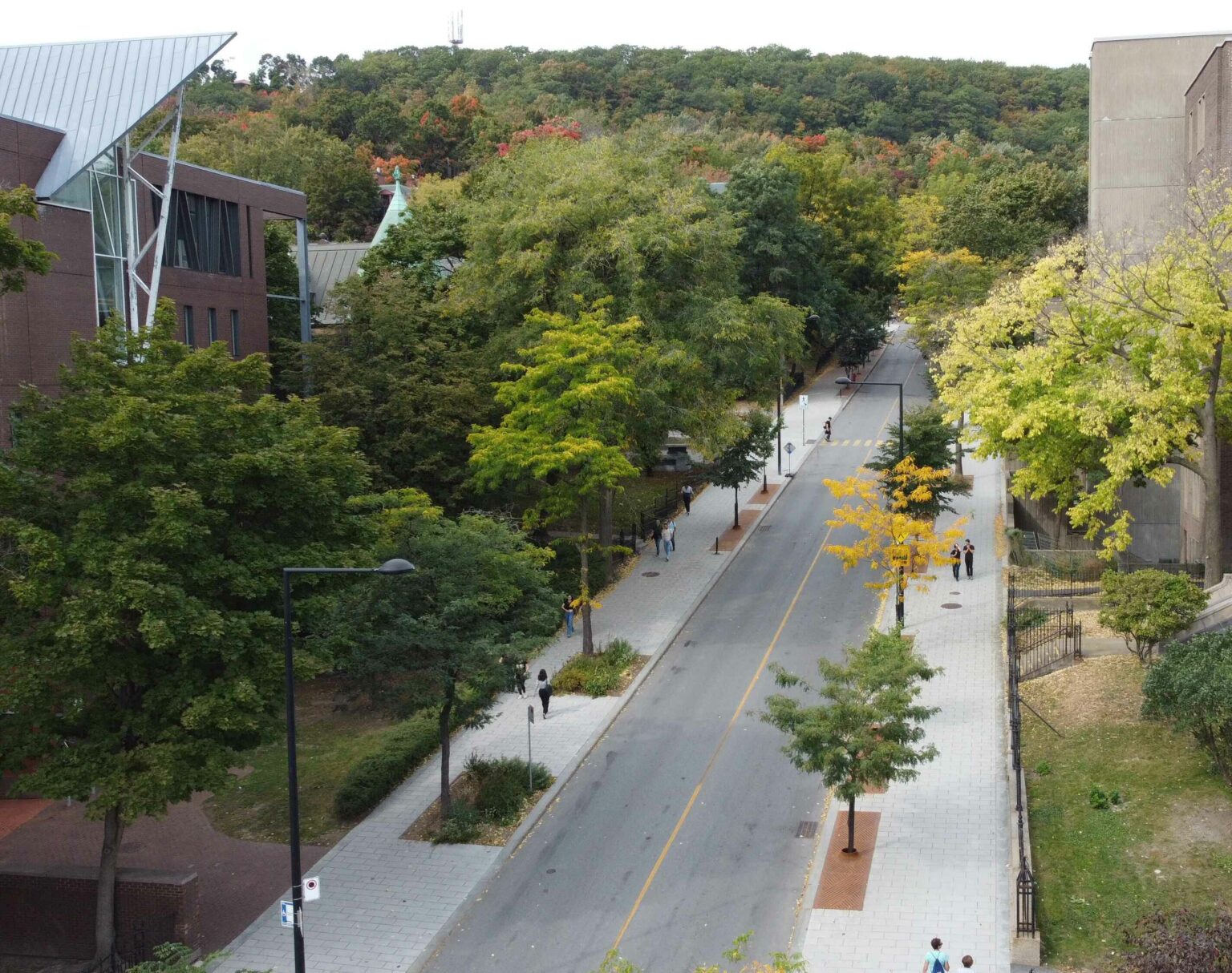 Silva Cells Overcome Significant Slope Challenges on Montreal ...