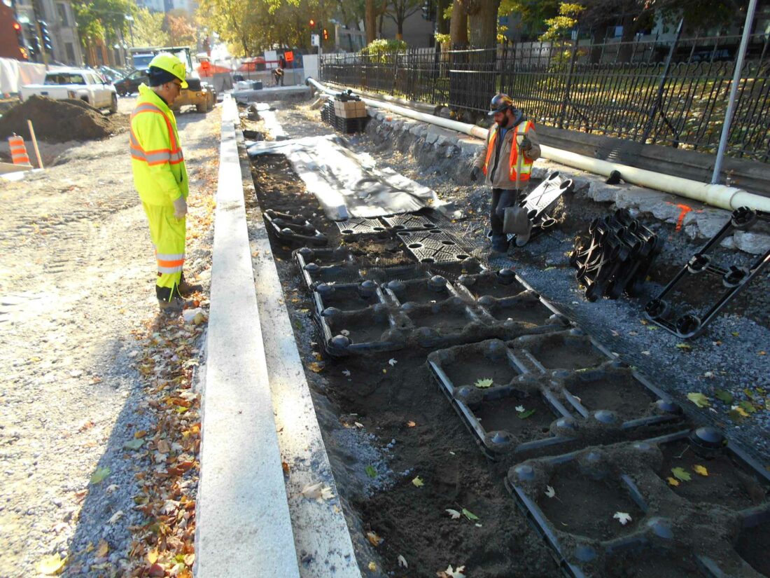 Silva Cells Overcome Significant Slope Challenges on Montreal ...