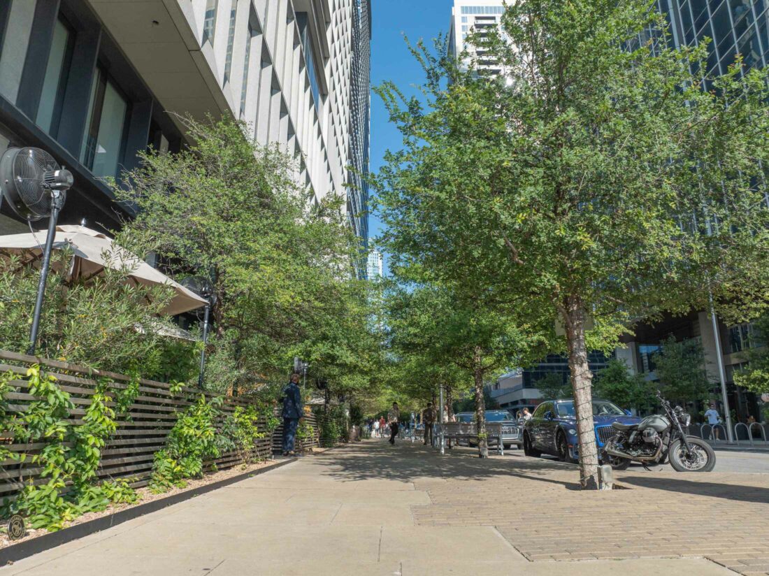 Street Trees Welcome Hotel Visitors in Downtown Austin | Case Study ...