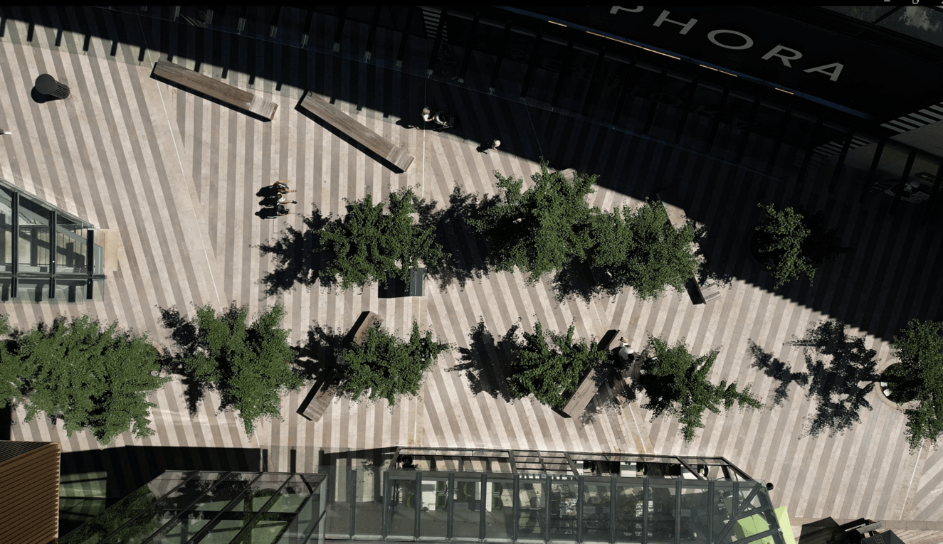 How Urban Forests Boost Local Business | DeepRoot Blog