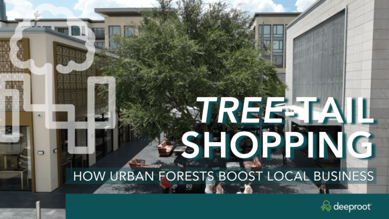 What's the Difference Between Tree Caliper and DBH? | DeepRoot Blog