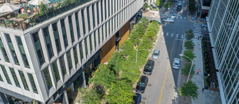 Silva Cell Tree and Stormwater Management System | DeepRoot