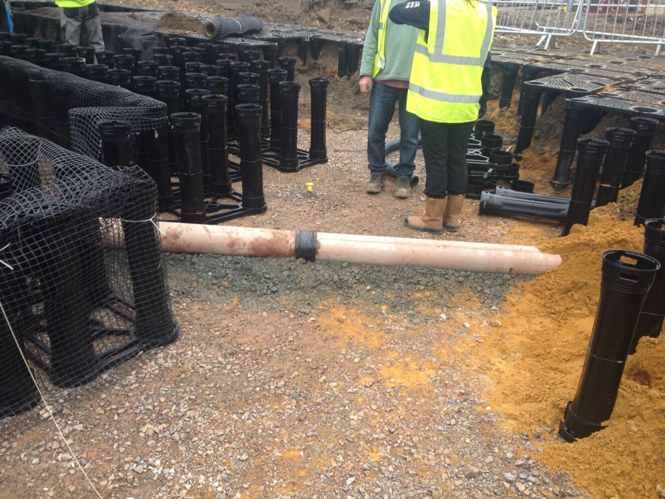 Ruskin Square Green Space Spurs District Growth | Case Study | DeepRoot