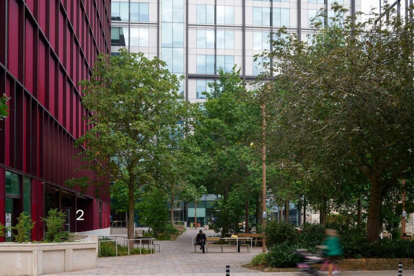 Ruskin Square Green Space Spurs District Growth | Case Study | DeepRoot