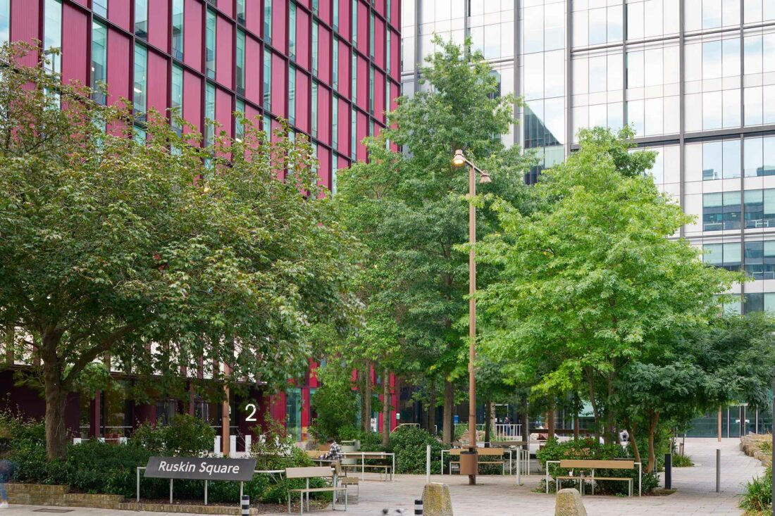 Ruskin Square Green Space Spurs District Growth | Case Study | DeepRoot