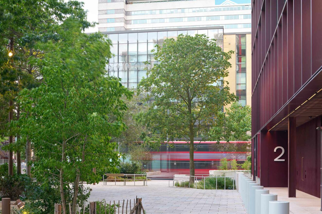 Ruskin Square Green Space Spurs District Growth | Case Study | DeepRoot