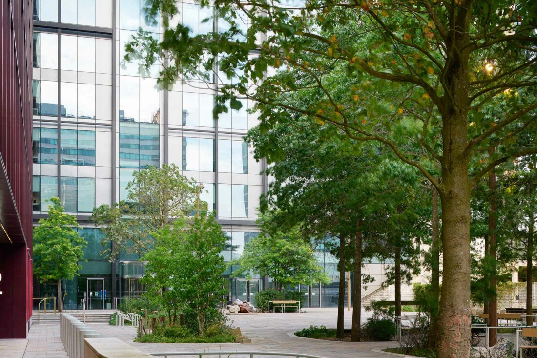 Ruskin Square Green Space Spurs District Growth | Case Study | DeepRoot