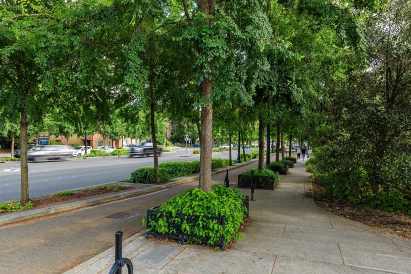 How Green Space Breathes Life into Historic Downtowns | DeepRoot Blog