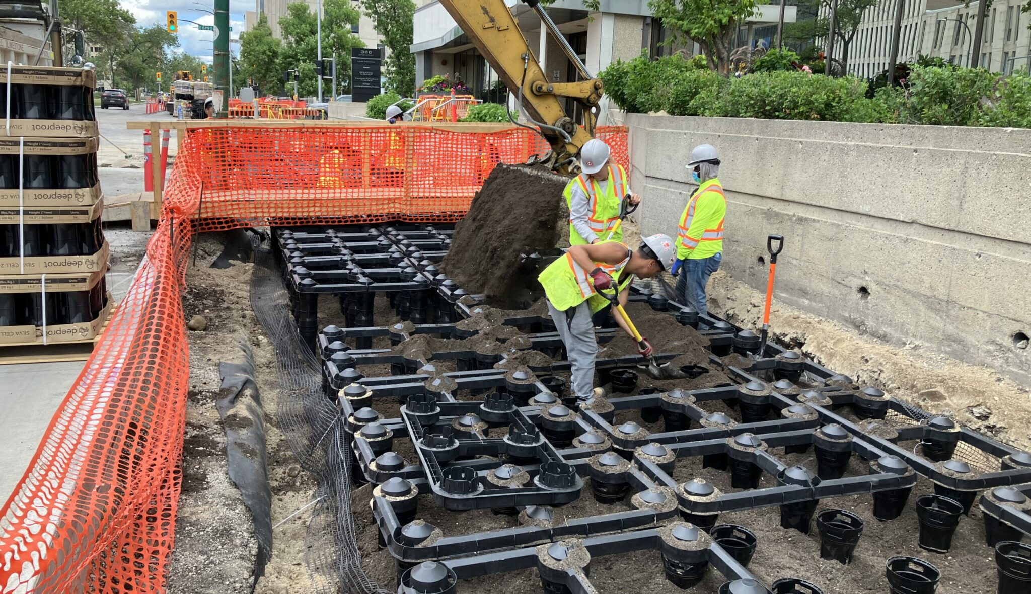 Cold Weather Silva Cell Projects: History of Success | DeepRoot Blog