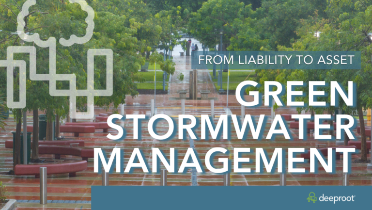 What's the Difference Between Tree Caliper and DBH? | DeepRoot Blog