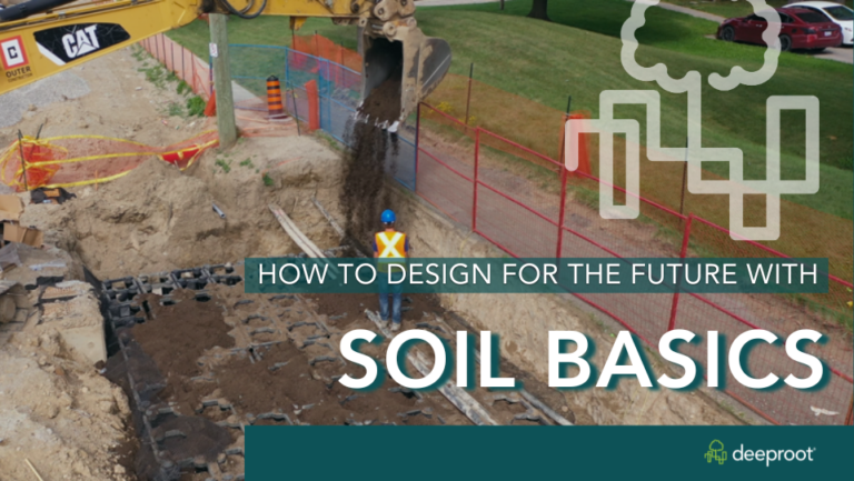 What is "Good" Soil? | DeepRoot Blog