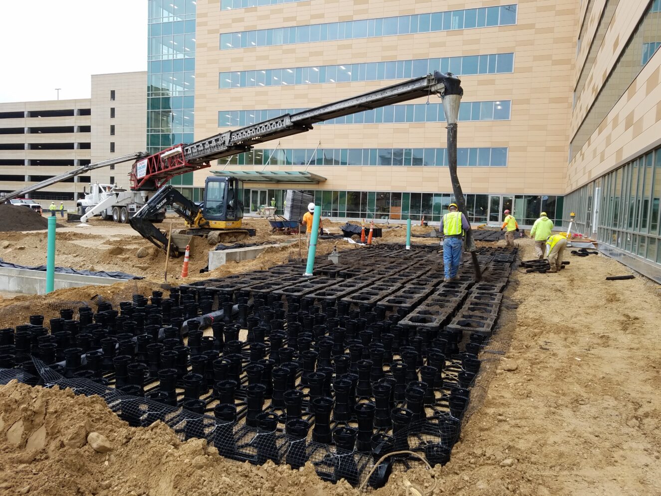 Bringing the Green to Madison for Over a Decade | Case Study | DeepRoot