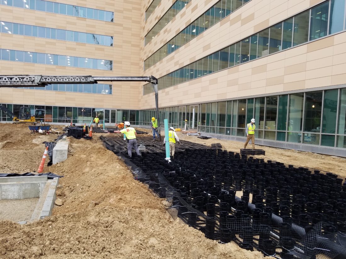 Bringing the Green to Madison for Over a Decade | Case Study | DeepRoot