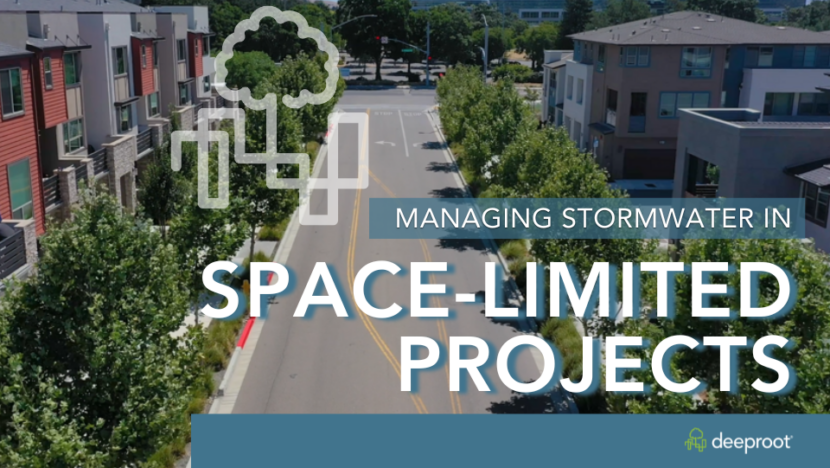 Managing Stormwater in Space-Limited Projects | DeepRoot Blog