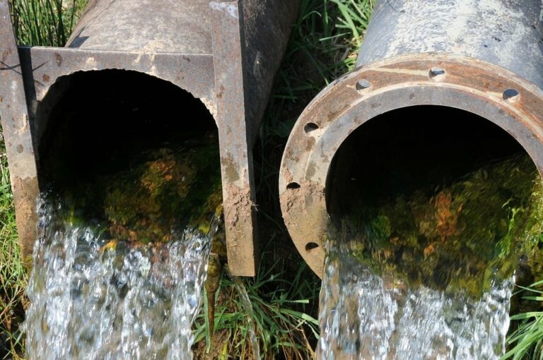 Green Helping Gray: Urban Stormwater Management | DeepRoot Blog