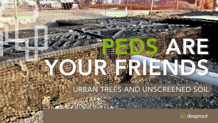 What Is Suspended Pavement? | DeepRoot Blog