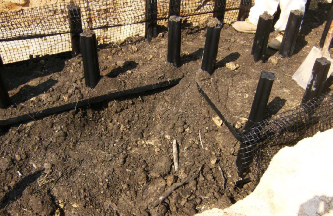 Peds Are Your Friends: Urban Trees and Unscreened Soil | DeepRoot Blog