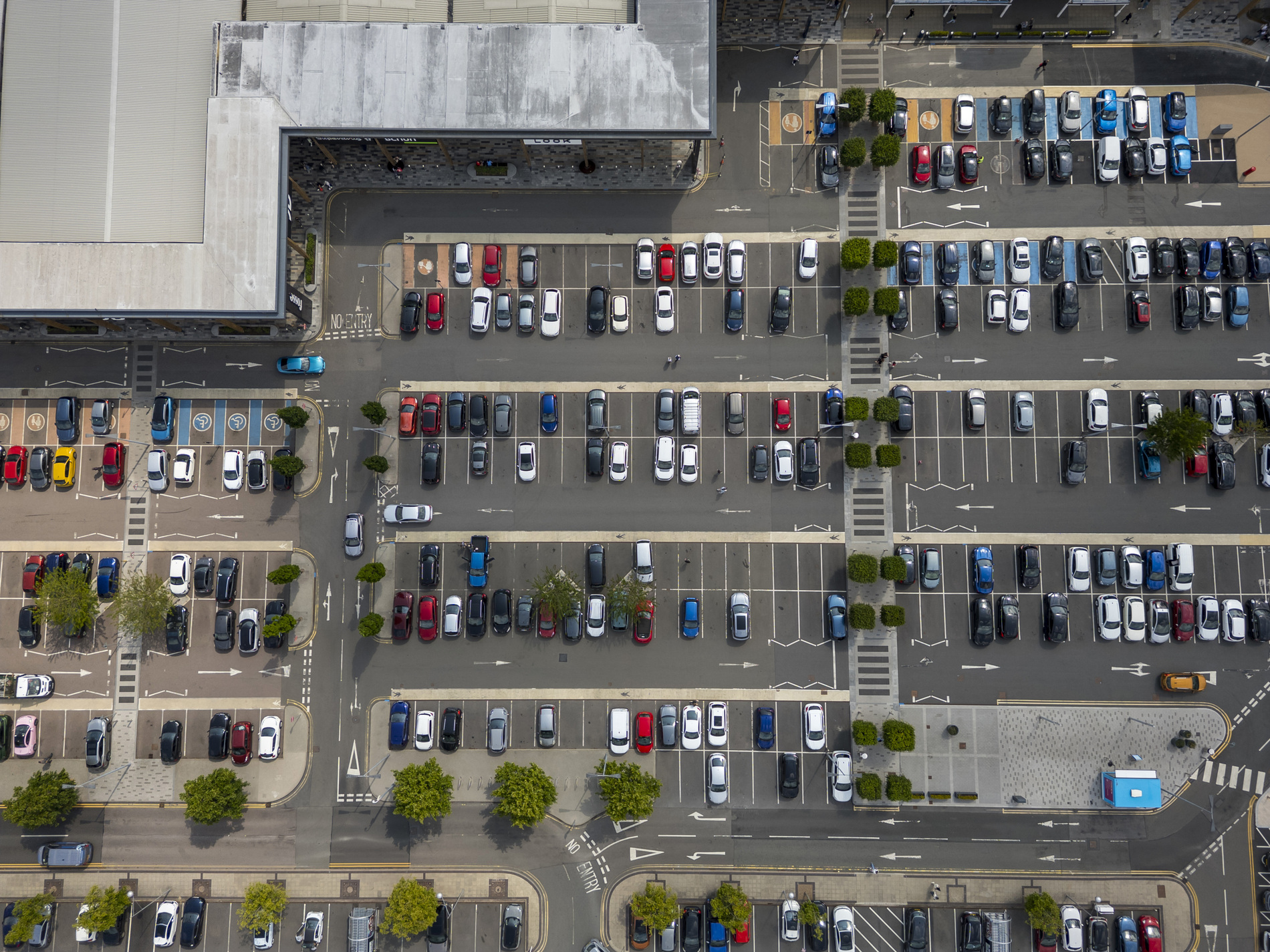 Fosse Park’s Investment in Tree Health is Paying Off | Case Study ...