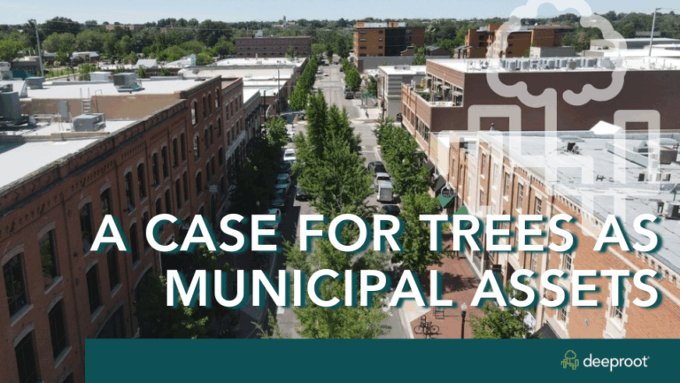 The Latest Urban Tree Canopy Cover by State | DeepRoot Blog