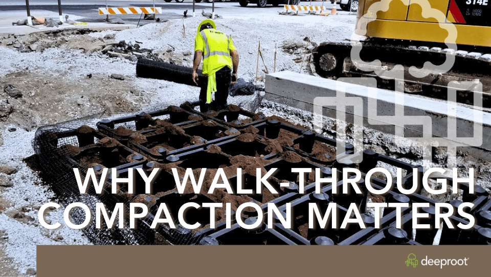 Why Walk-Through Compaction Matters | DeepRoot Blog