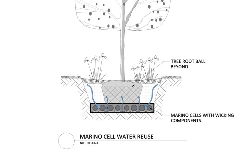 Marino Cell Shallow Urban Stormwater Storage | DeepRoot