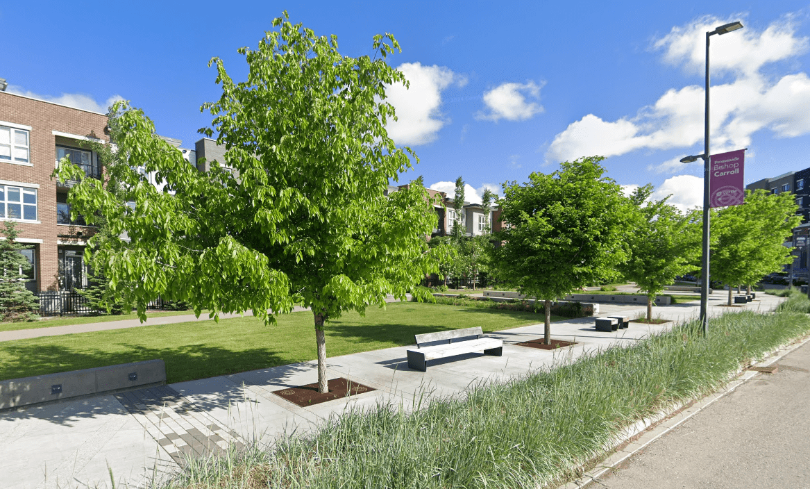 From Base to Green Streets: Silva Cells Help Transform Calgary’s Currie ...