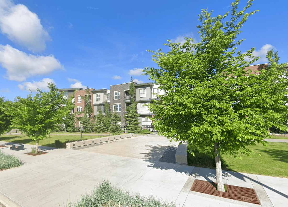 From Base to Green Streets: Silva Cells Help Transform Calgary’s Currie ...