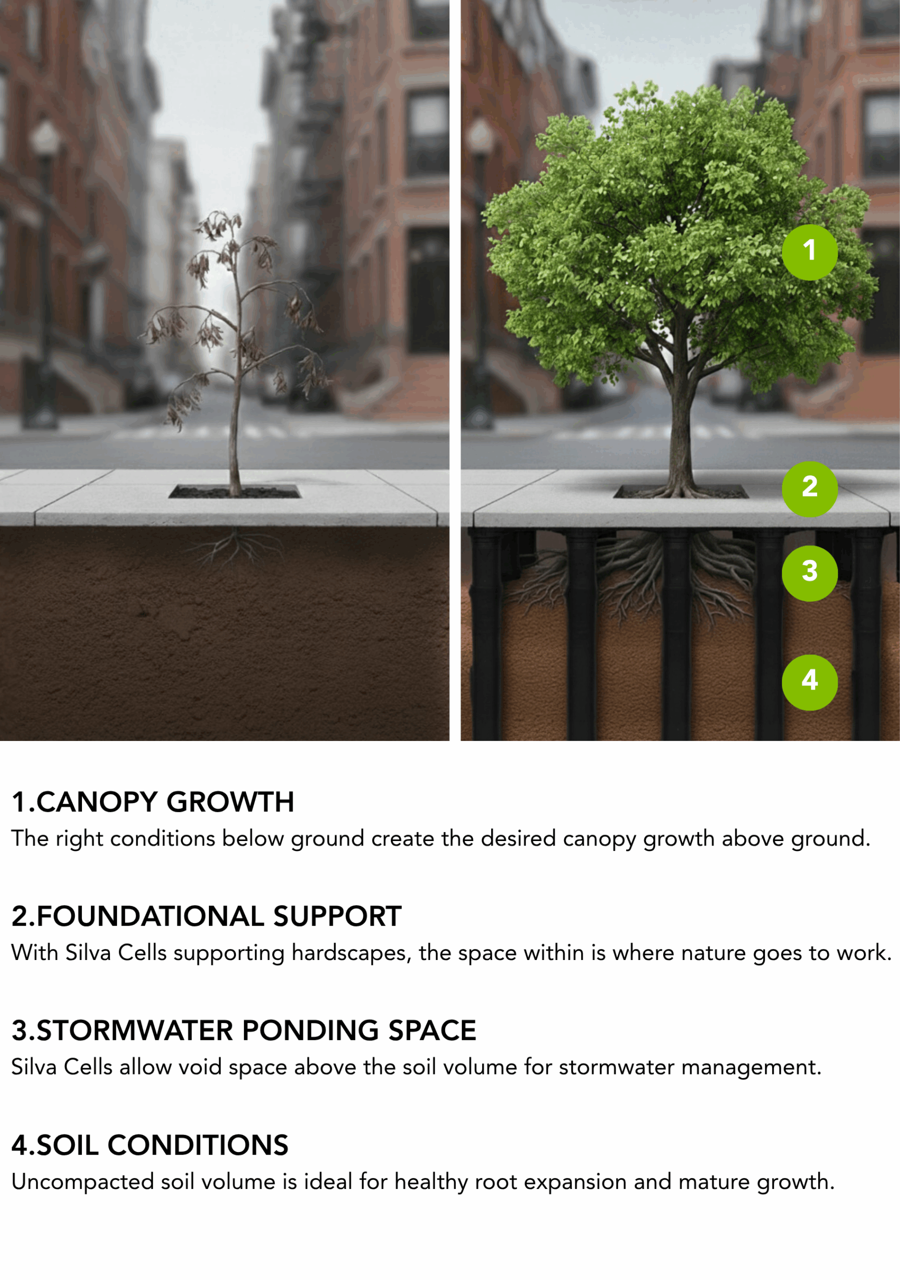 Nature Does the Work | DeepRoot Blog