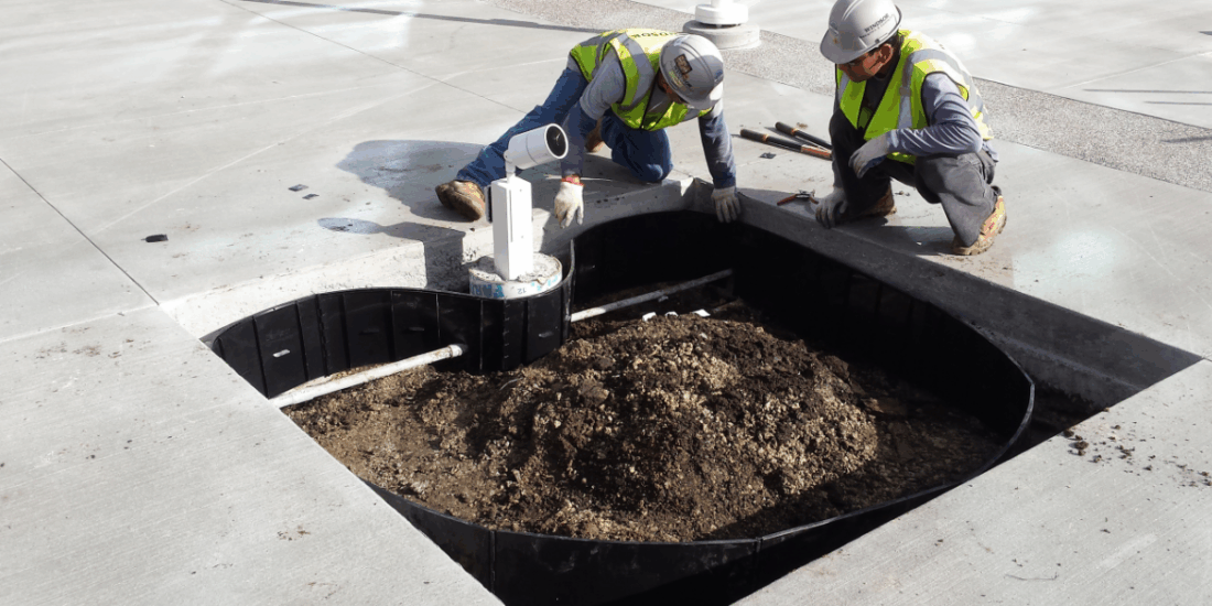 Root Barrier Products and Tree Root Barriers | DeepRoot