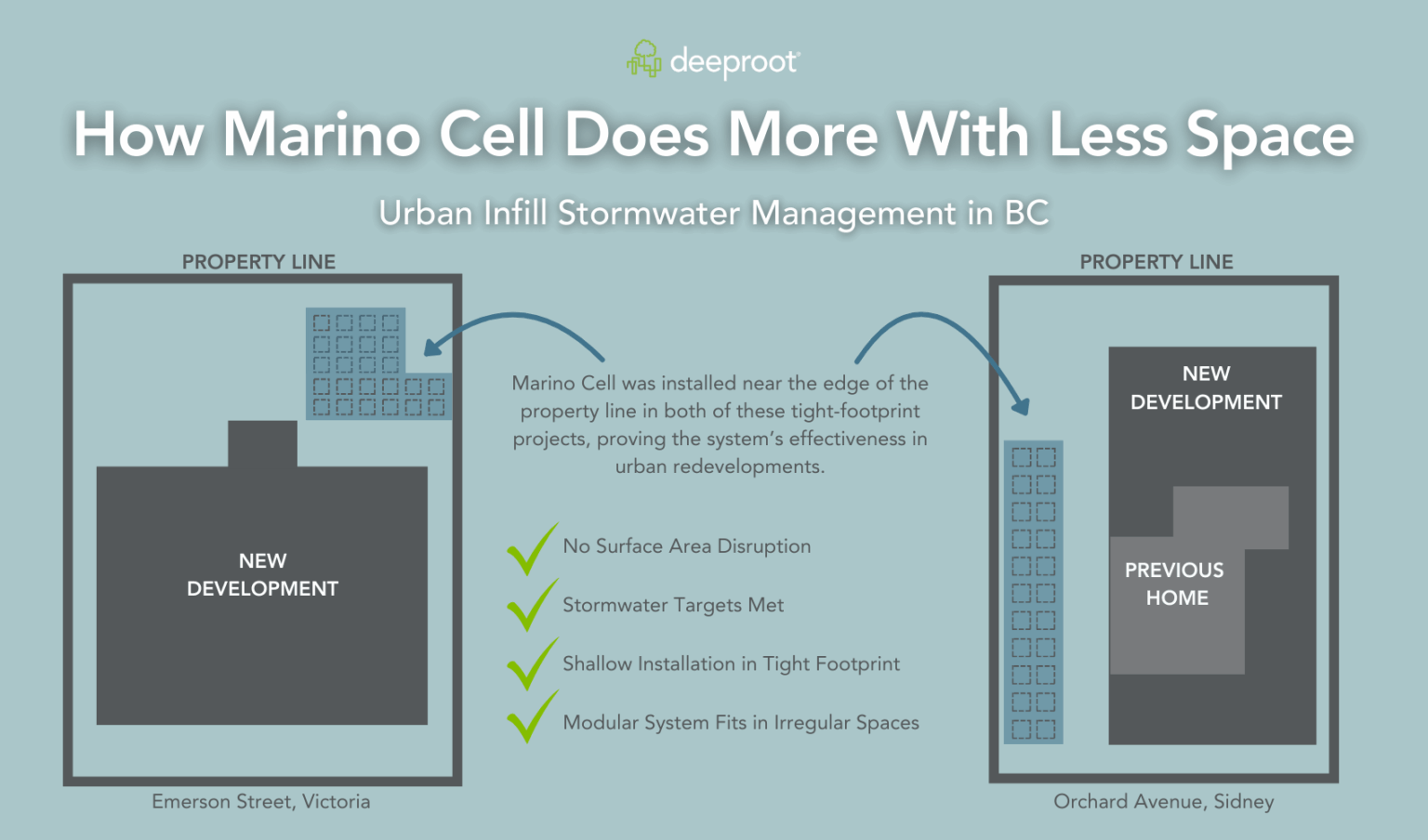 Marino Cell Does More with Less Space: Research and Results | DeepRoot Blog