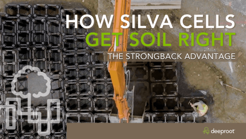 What is Soil Structure and Why is it Important? | DeepRoot Blog