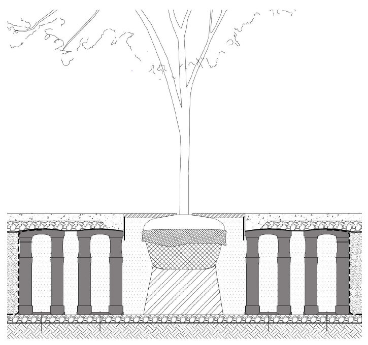 Soil Volume Targets for Urban Trees | DeepRoot