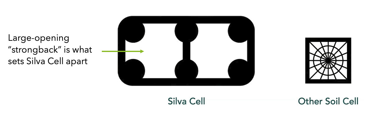 How Silva Cells Get Soil Right: The Strongback Advantage | DeepRoot Blog