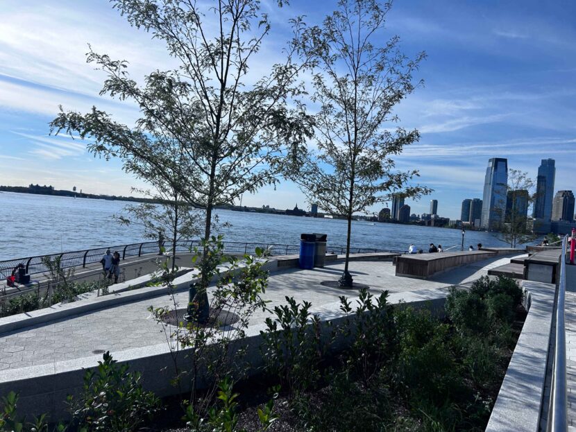 Silva Cell Secures South Battery Park (NYC) Trees Against Waterfront ...