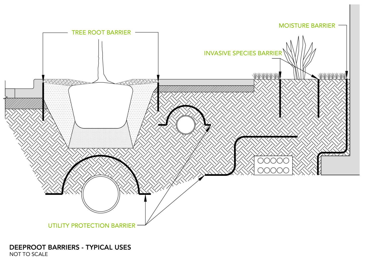 DeepRoot Barriers | Root, Water & Invasive Species Protection for Urban ...