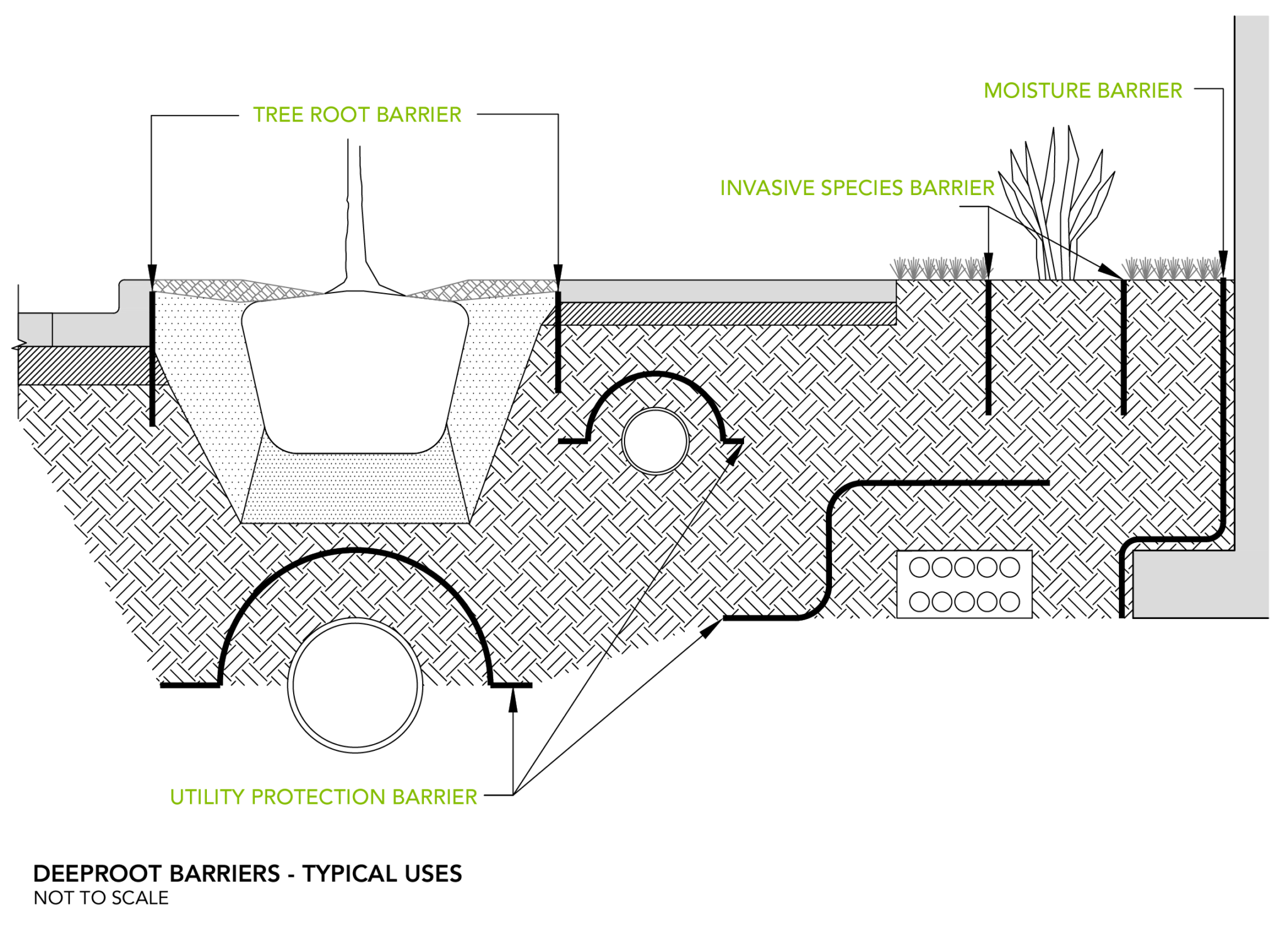 DeepRoot Barriers | Root, Water & Invasive Species Protection for Urban ...