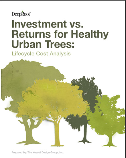 Investment vs. Returns for Healthy Urban Trees Lifecycle Cost Analysis ...
