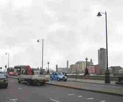 Visualizing the Urban Forest | DeepRoot Blog